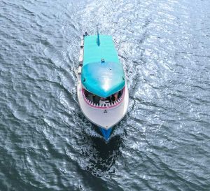 Shark Boat | Sunshine Scenic Tours