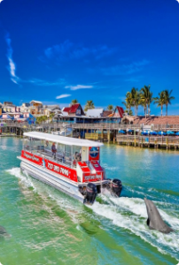 Pirate Ship Johns Pass Boat Tours & Dolphin Tour